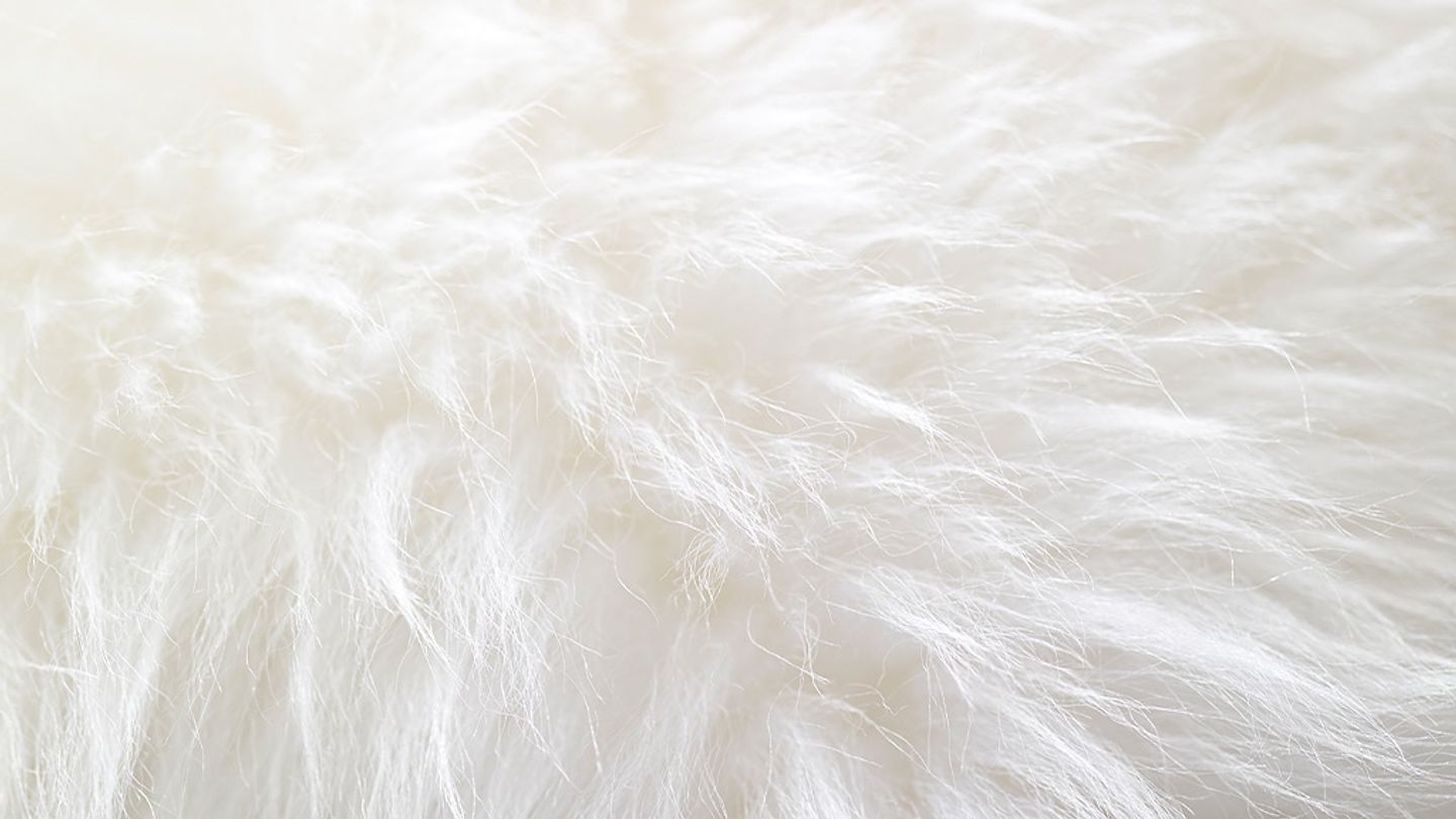 Damenstiefel | Boots und Stiefeletten | UGG® DE