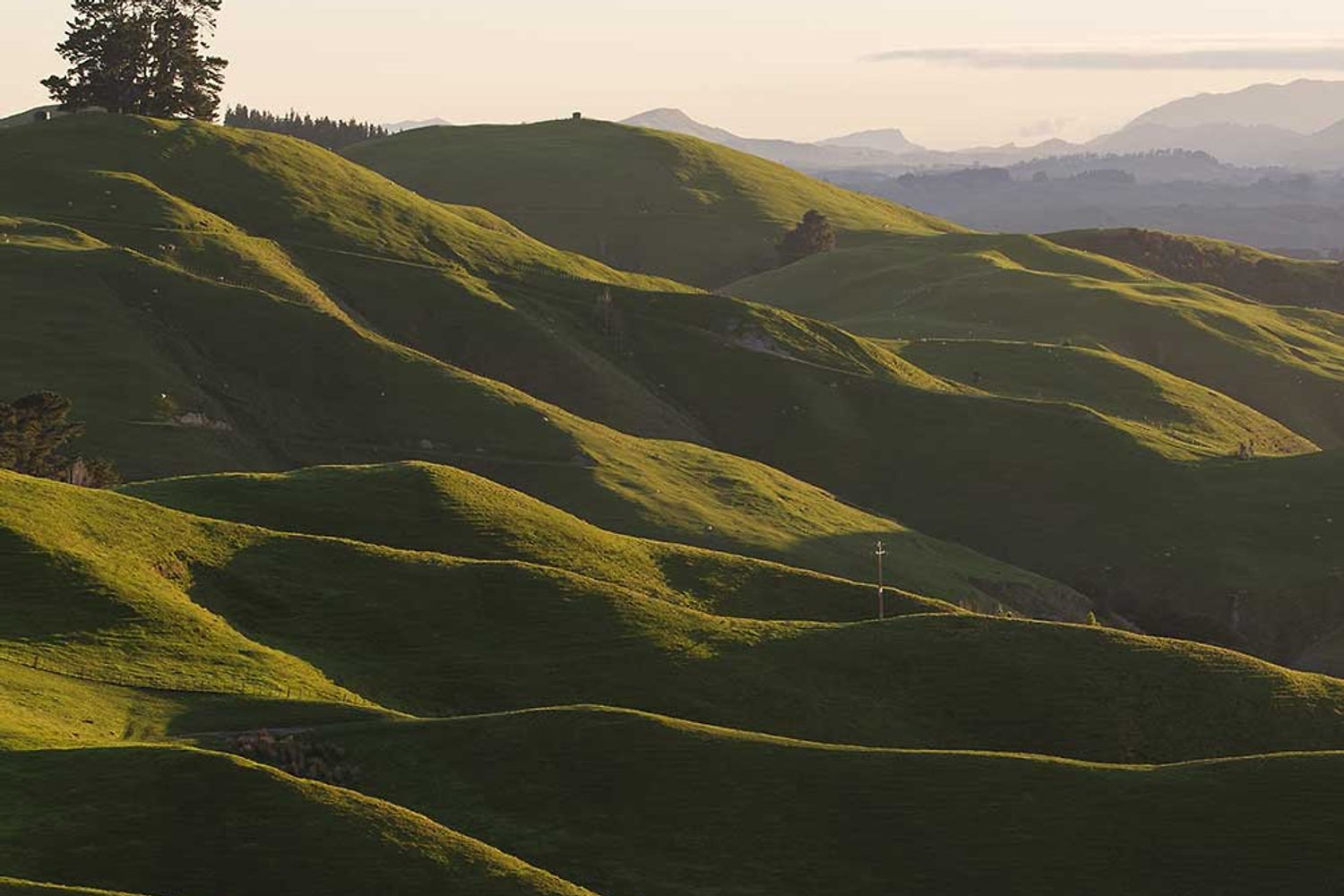 Regenerate by UGG｜UGG®（アグ）公式サイト