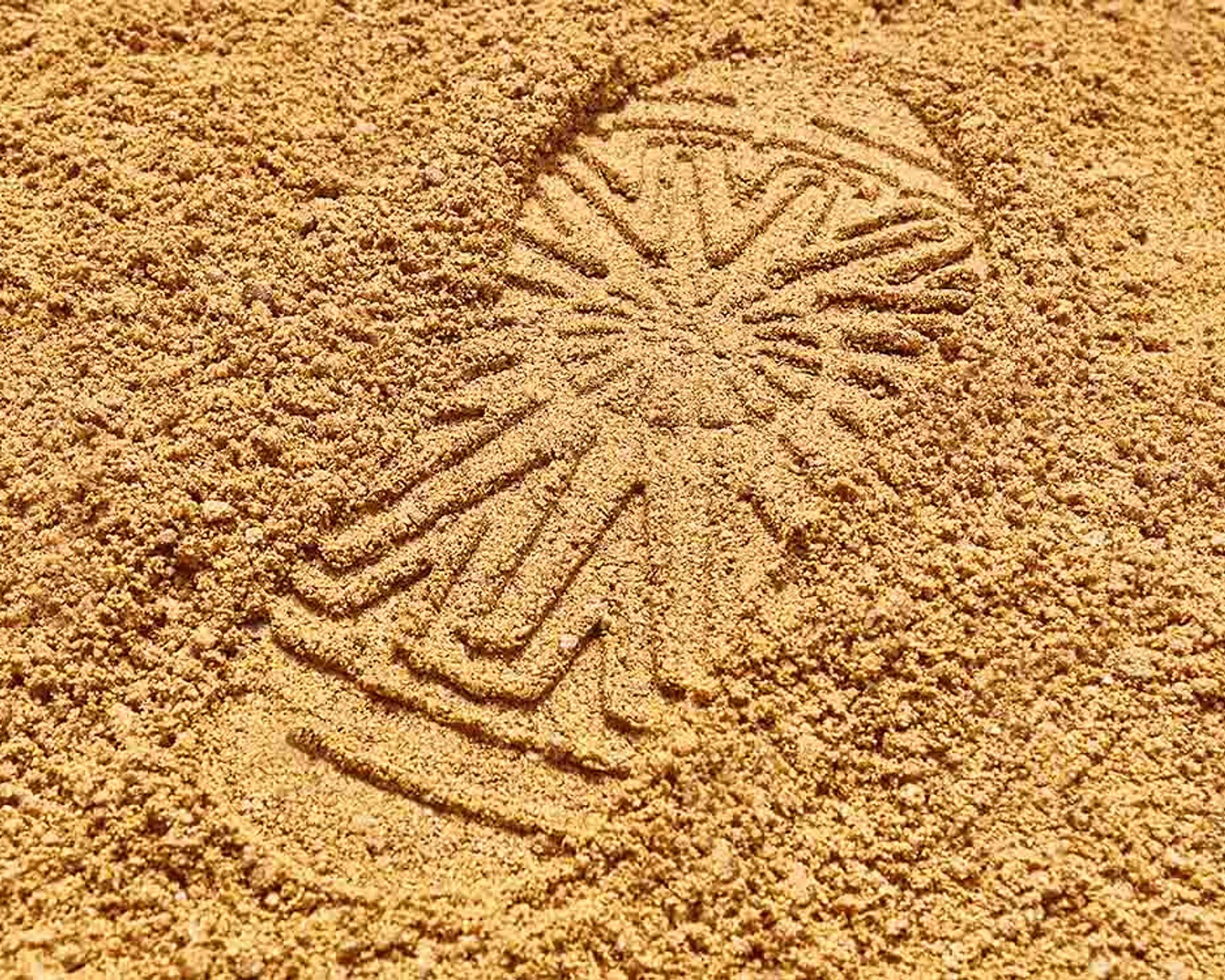 Feels Like UGG｜UGG®（アグ）公式サイト